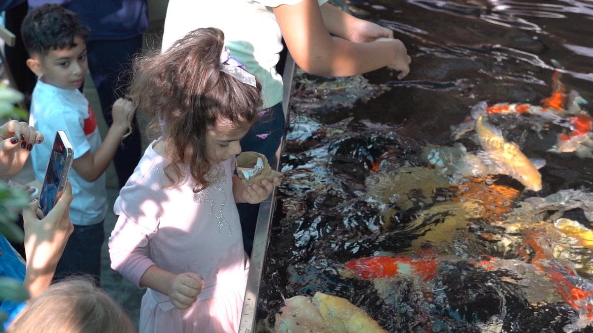 Koi for kids event at The Garden Concept