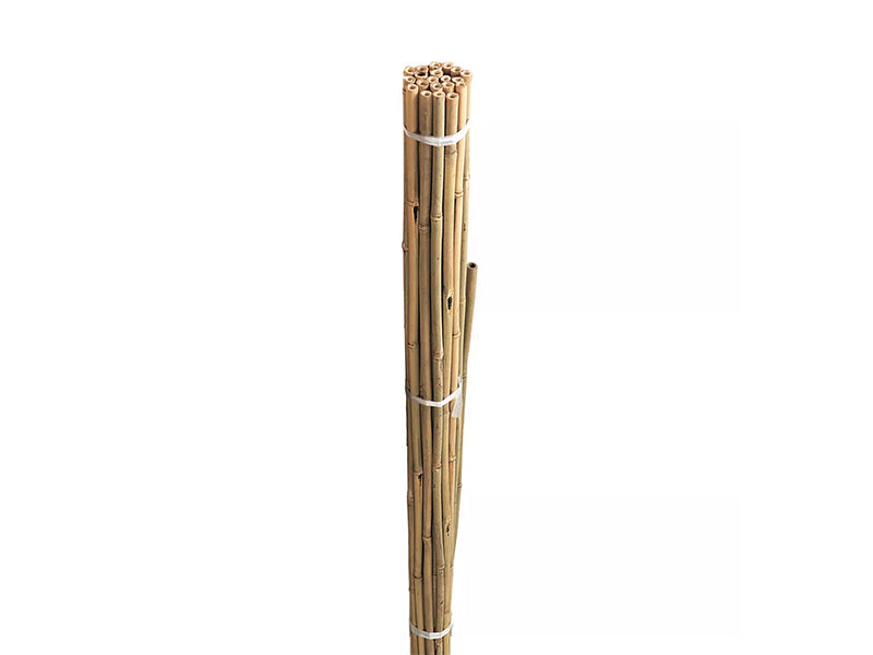 GI Bamboo Canes Bulk Bundle 20pk H90cm — The Garden Concept